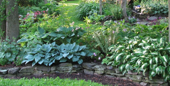 Practic in gradina - GardenExpert.ro